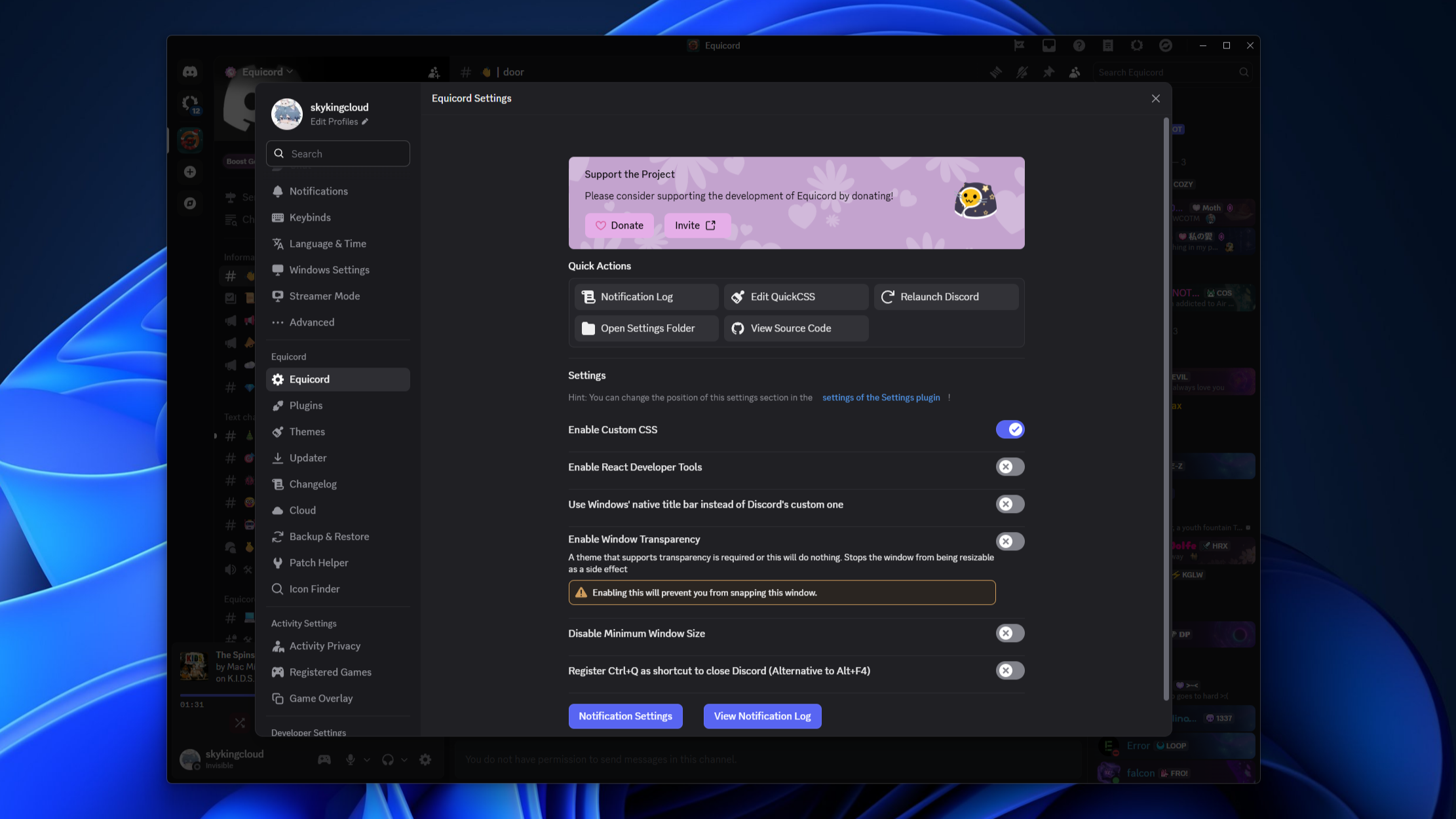 Equicord Settings Interface